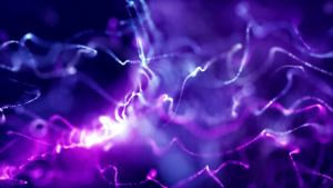 Purple Strings Animated Wallpaper - MyLiveWallpapers.com
